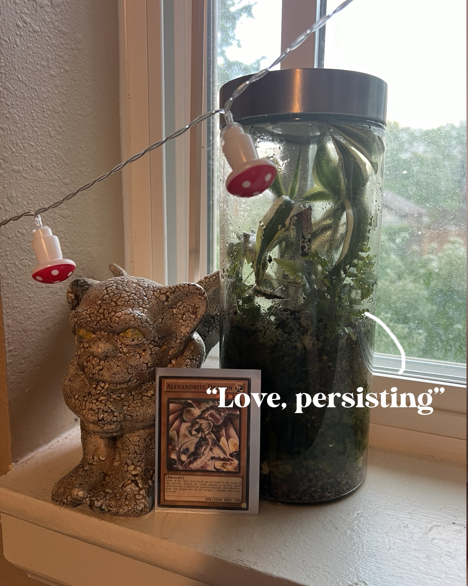 a tour of my plants (plant update #1) – mossyfawnron